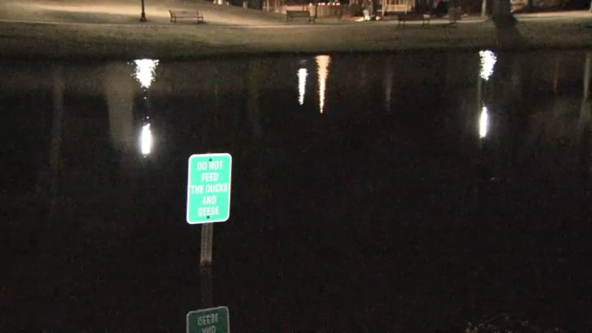 Man pulled from Whitman Town Park pond in critical condition – NBC Boston