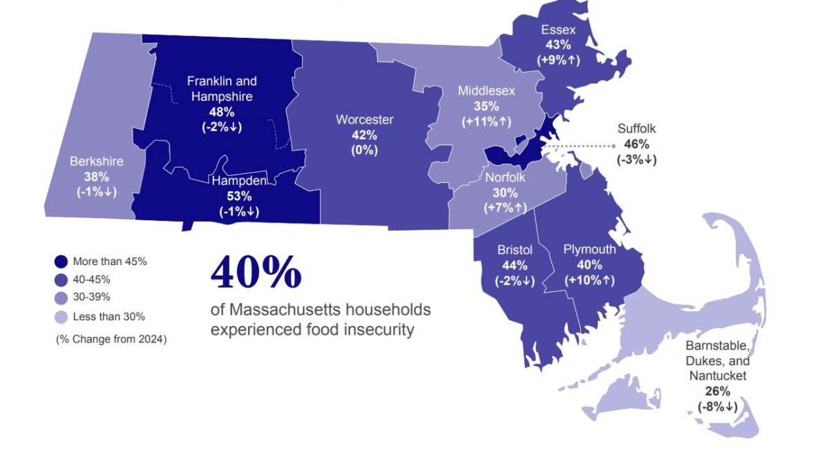 Food insecurity in Massachusetts detailed in new report – NBC Boston