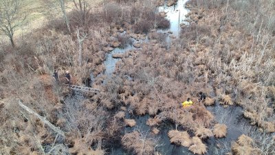 Groton swamp rescue – NBC Boston