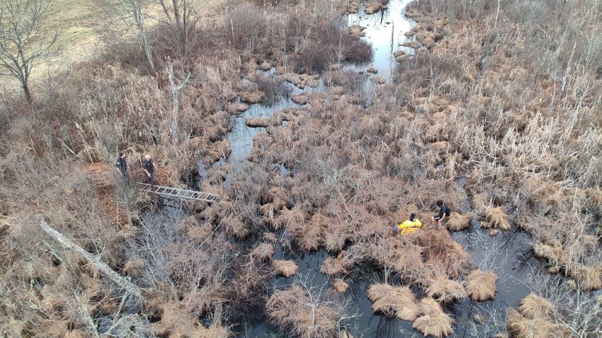 Groton swamp rescue – NBC Boston
