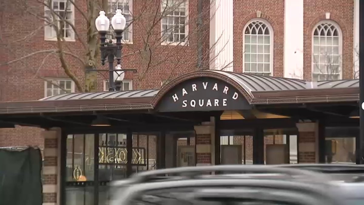 2026 FIFA World Cup watch parties coming to Cambridge – NBC Boston