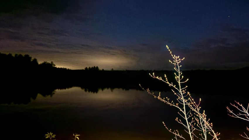 Pilot rescued after small plane crashes into Quabbin Reservoir – NBC Boston