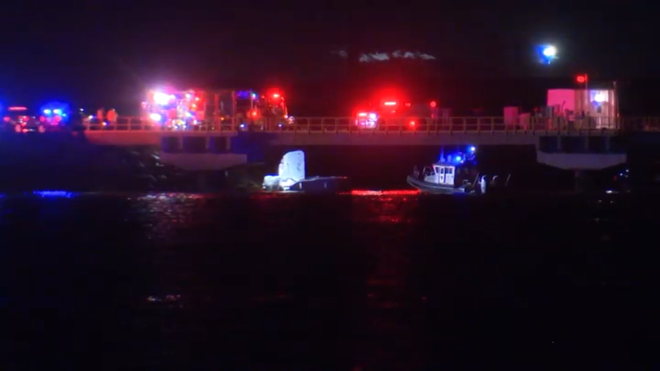 Elizabeth Dankert killed in Boston Harbor airport pier boat crash – NBC ...