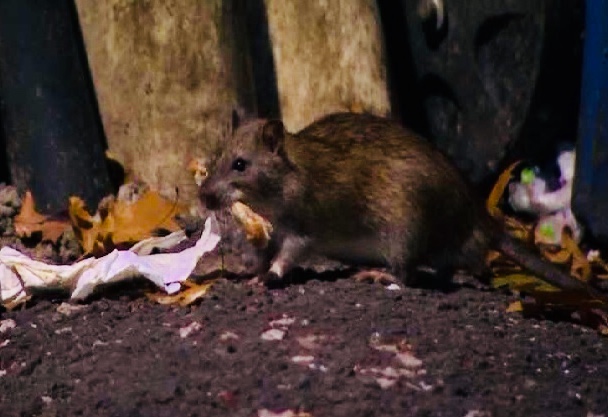 Investigations | NBC Boston