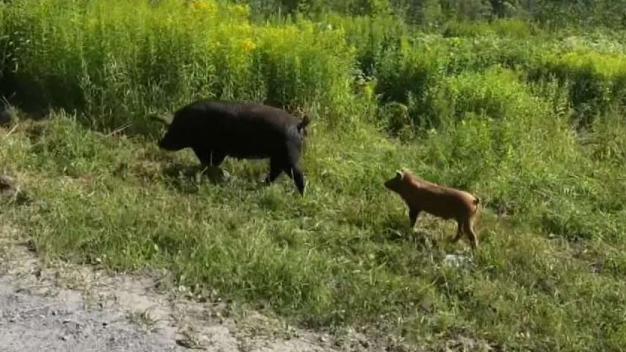 Local News | NBC10 Boston